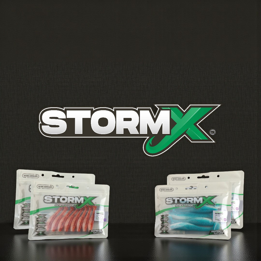 StormX - WISE ANGLER – Page 2